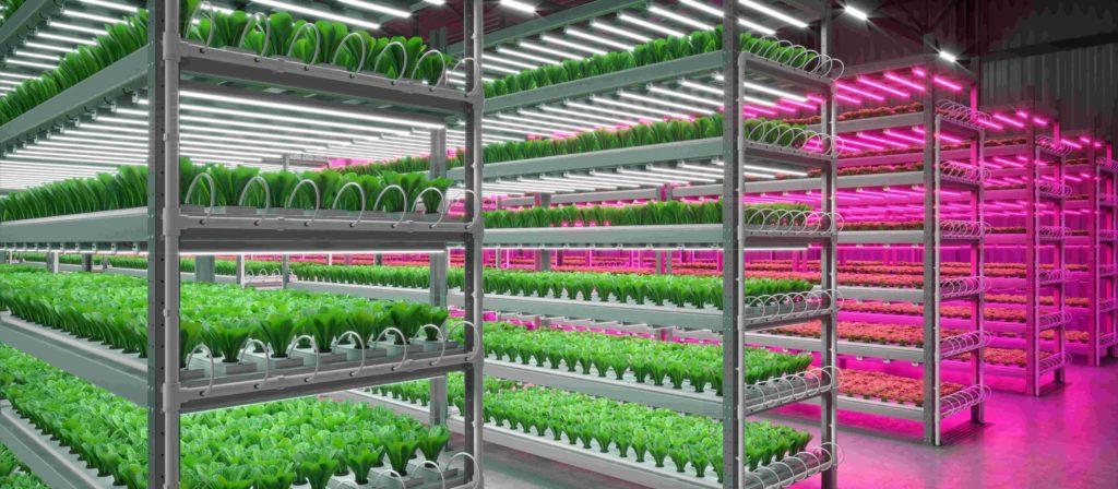 Self-Contained Hydroponic Grow System