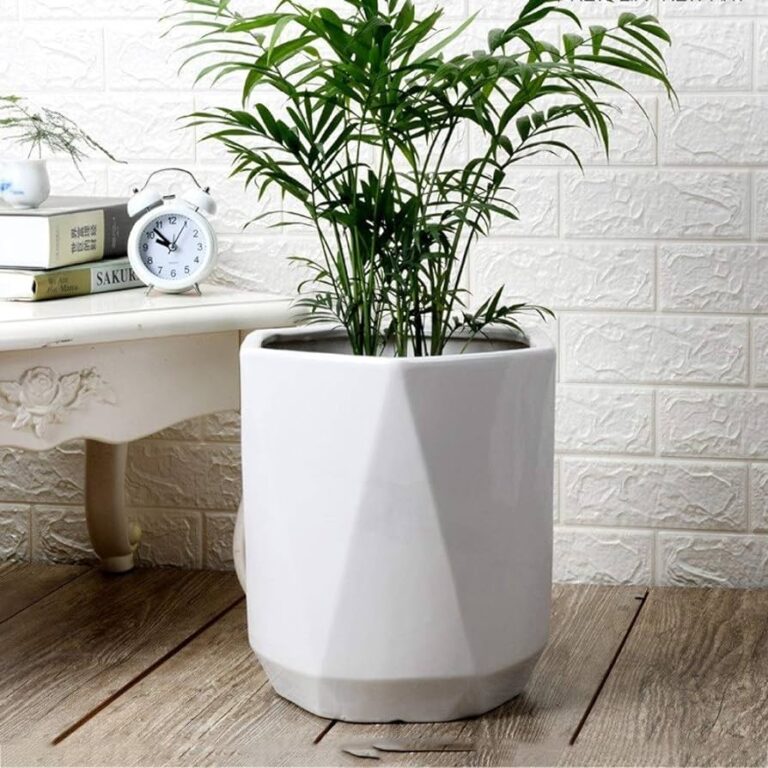 Extra Large Indoor Plant Pots: Elevate Your Decor!