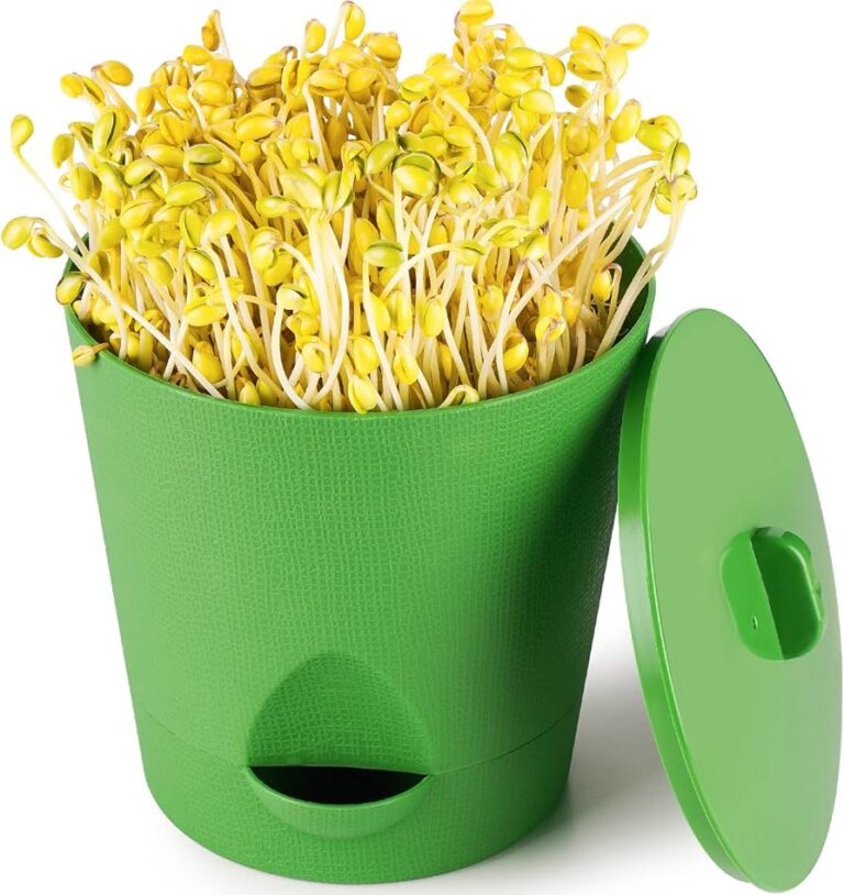 Germinating Pot Seeds for Hydroponics: Ultimate Beginner's Guide