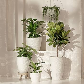Indoor White Planter Pot: Elevate Your Home Decor Effortlessly