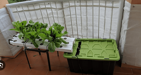 Indoor Hydroponic Grow Systems